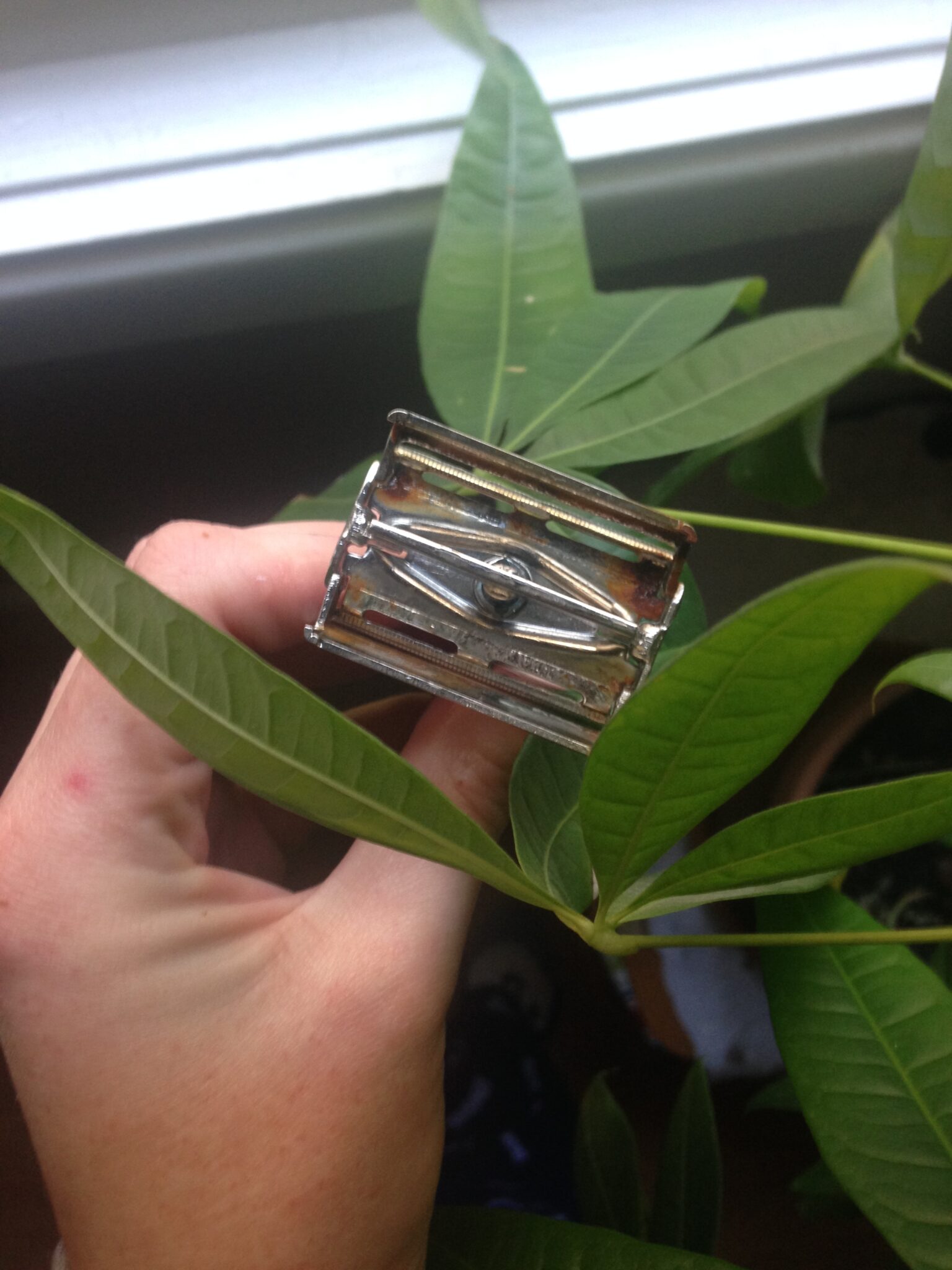 How to Prevent a Rusty Razor: Safety Razor Care - Going Zero Waste