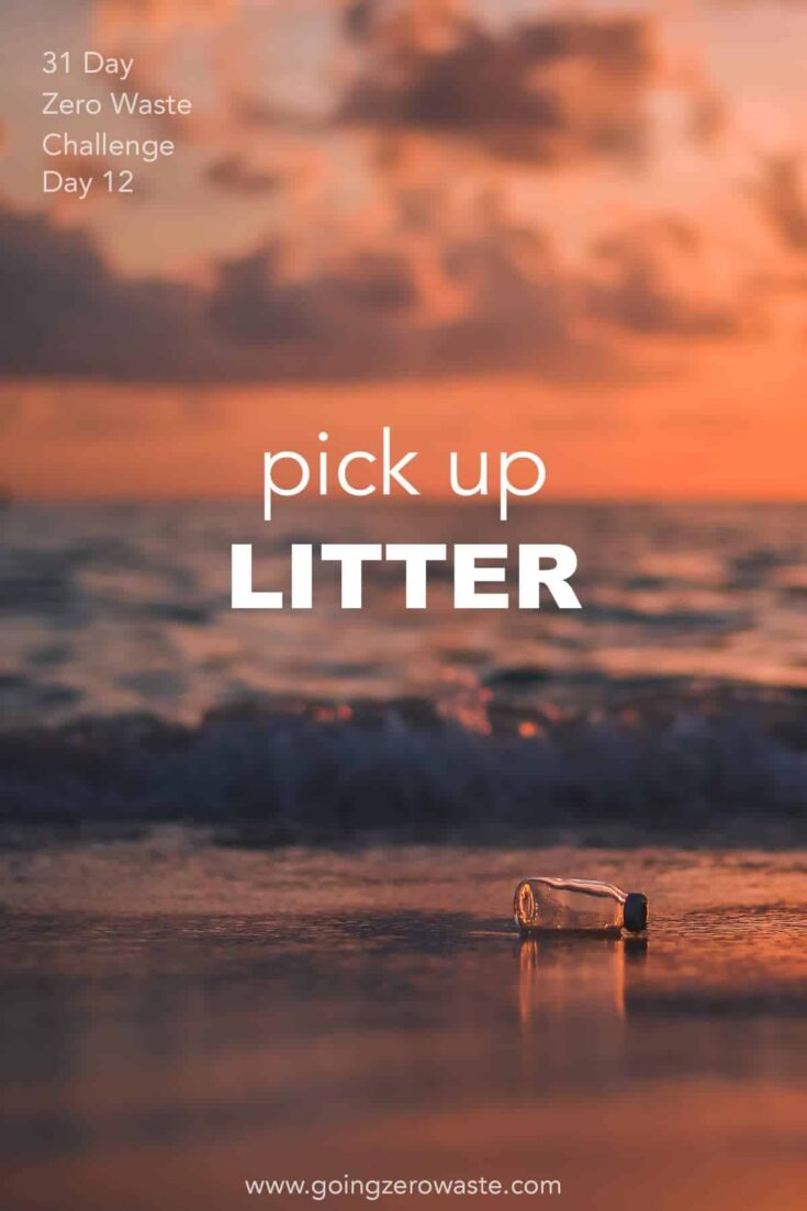 Picking up Trash - Day 12 Challenge - Going Zero Waste
