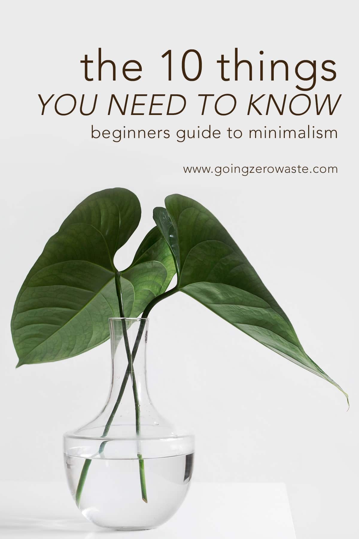 Minimalist Lifestyle Tips (Beginners Guide) - Going Zero Waste