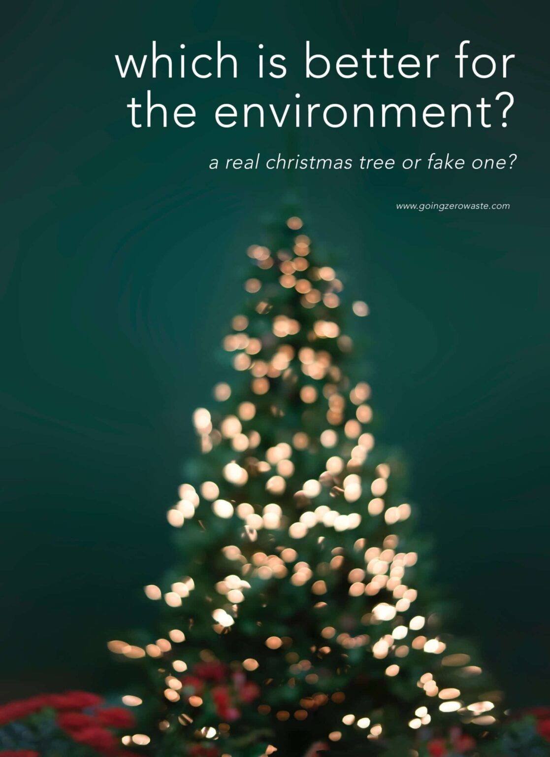 Choosing An Eco Friendly Christmas Tree - Going Zero Waste