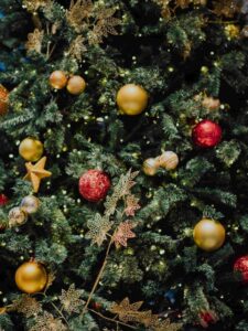 Choosing An Eco Friendly Christmas Tree - Going Zero Waste