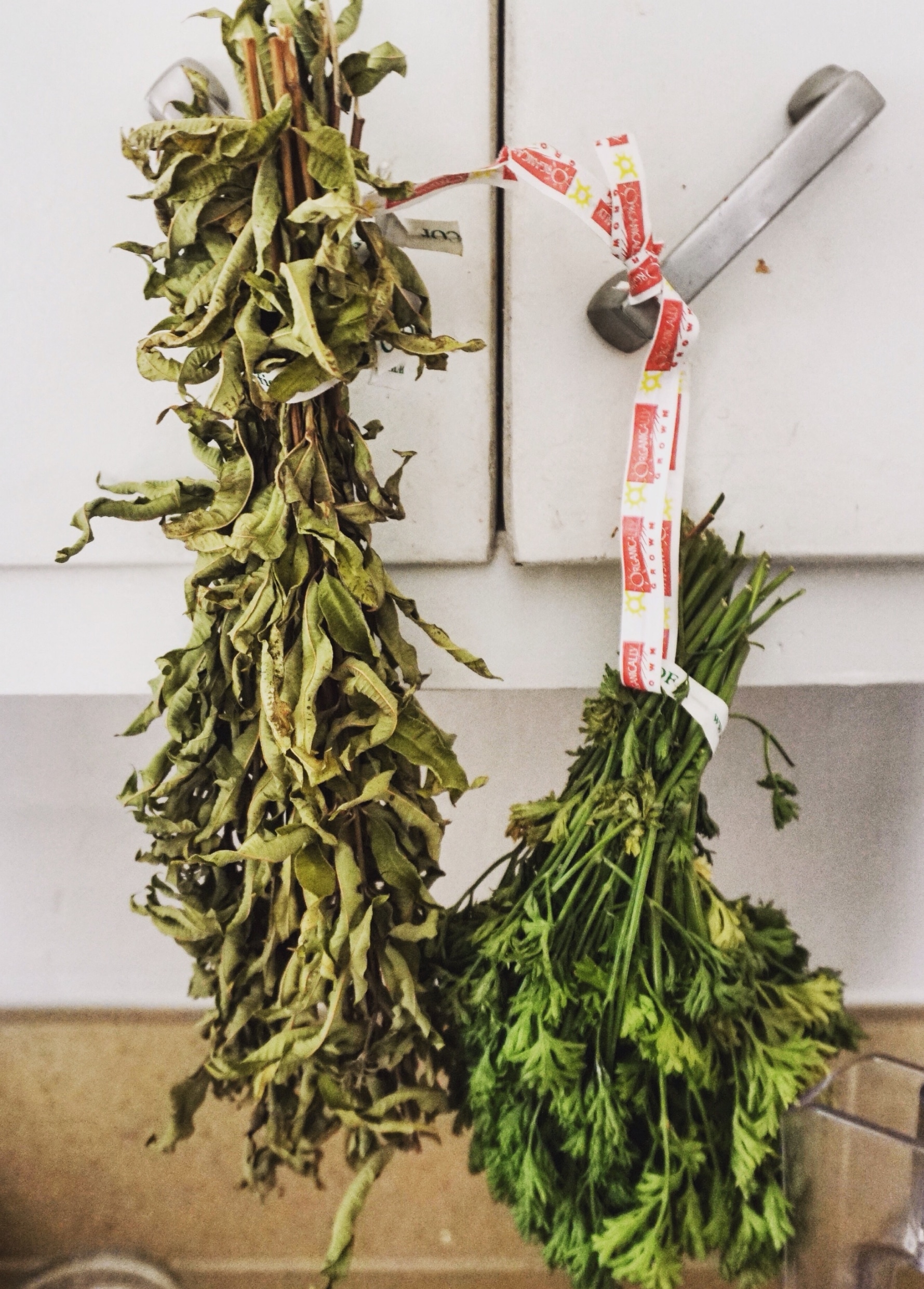 How to Dry Your Own Spices - Going Zero Waste
