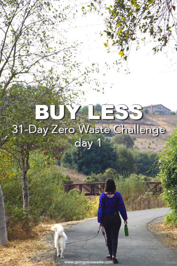 Buy Less - Day 1 of the Zero Waste Challenge - Going Zero Waste