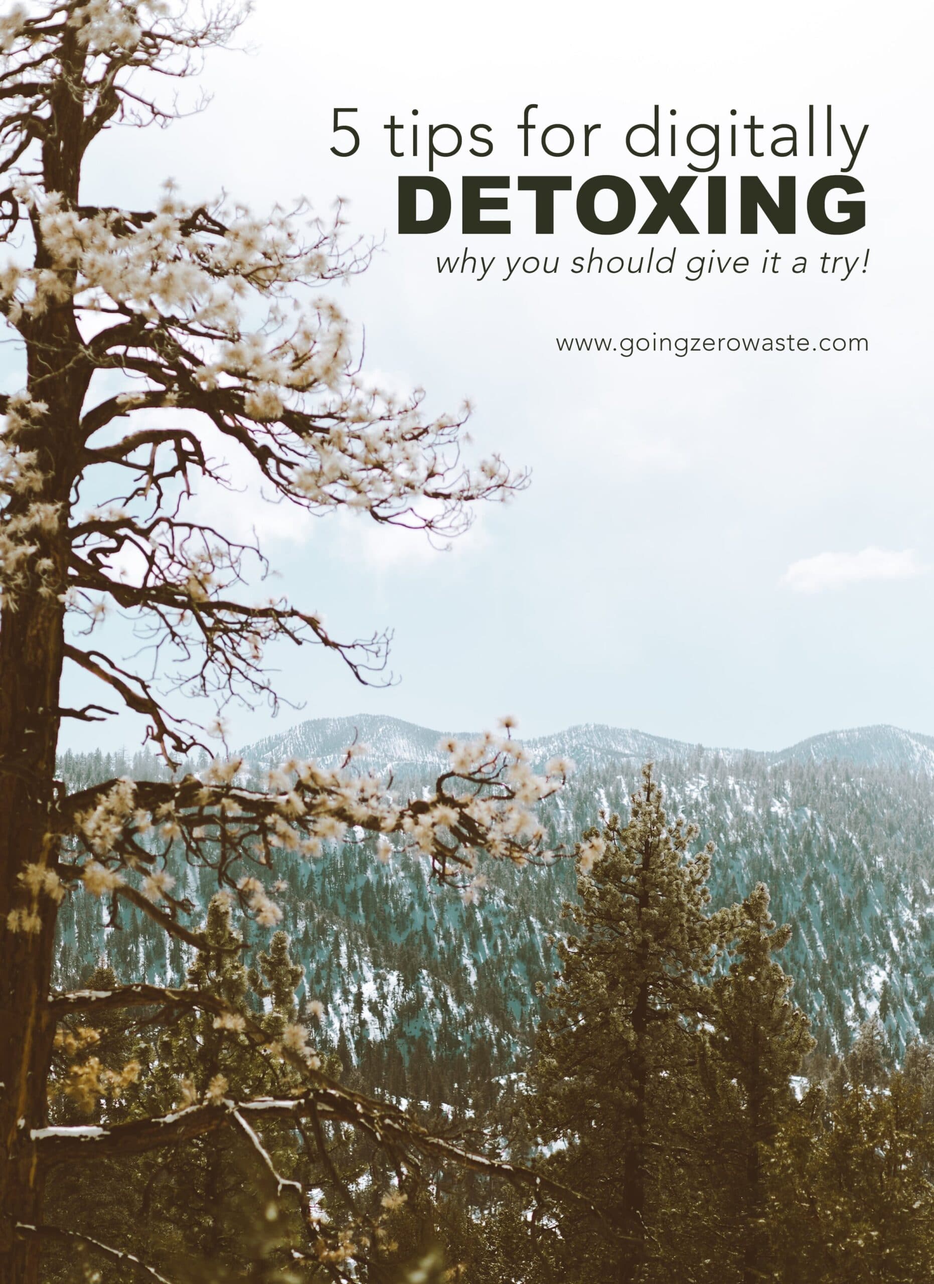 Why I Did a Digital Detox and You Should Too - Going Zero Waste
