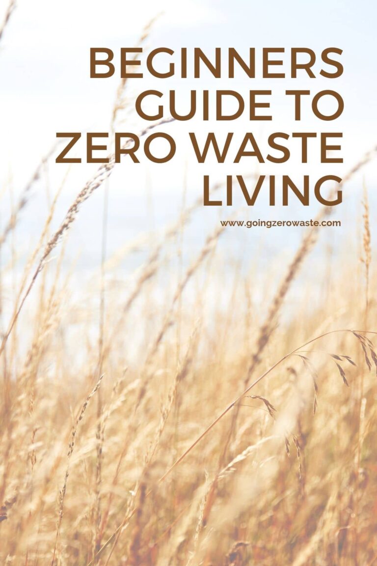 Four Tips for Starting a Zero Waste Lifestyle - Going Zero Waste