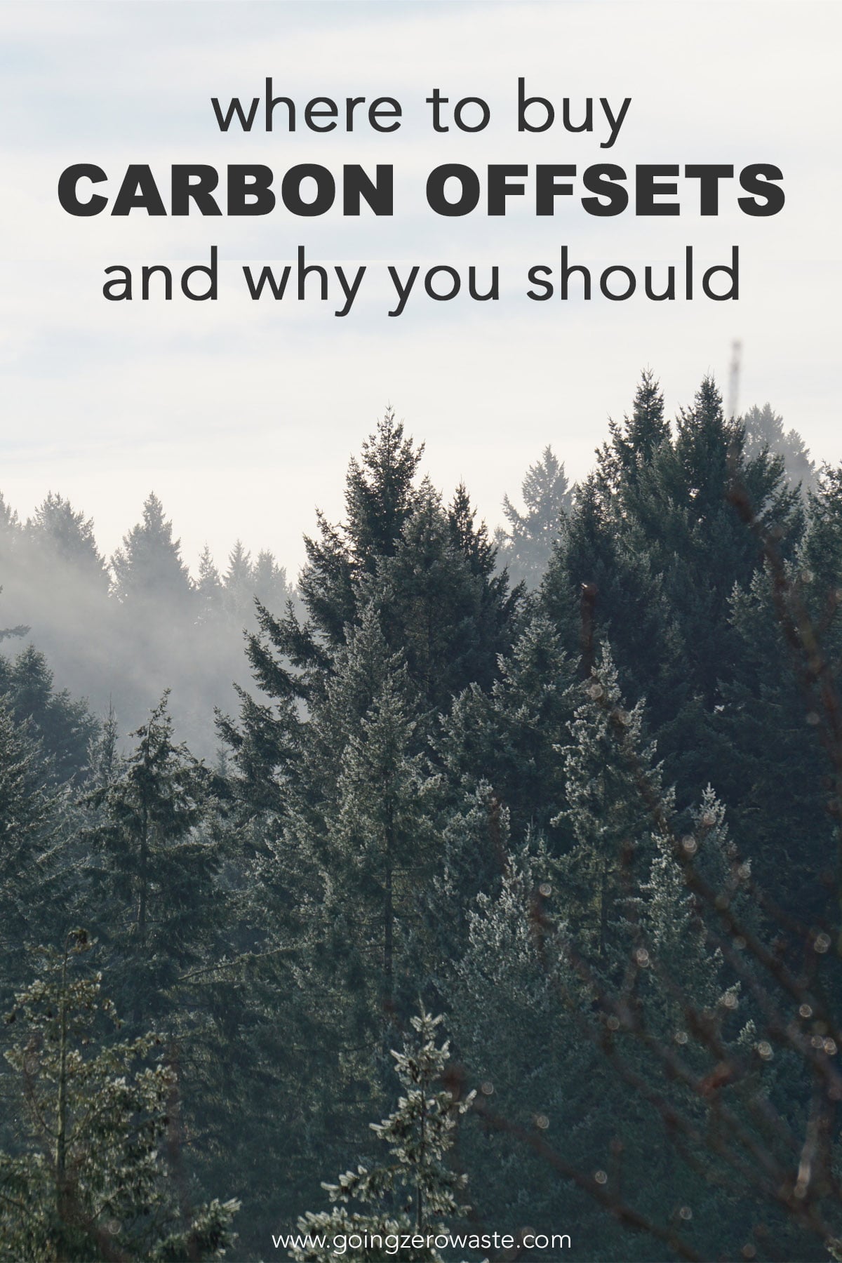 Where to Buy Carbon Offsets and Why You Should - Going Zero Waste