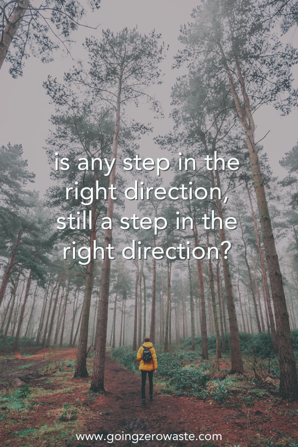 Is any step in the right direction, really a step in the right ...