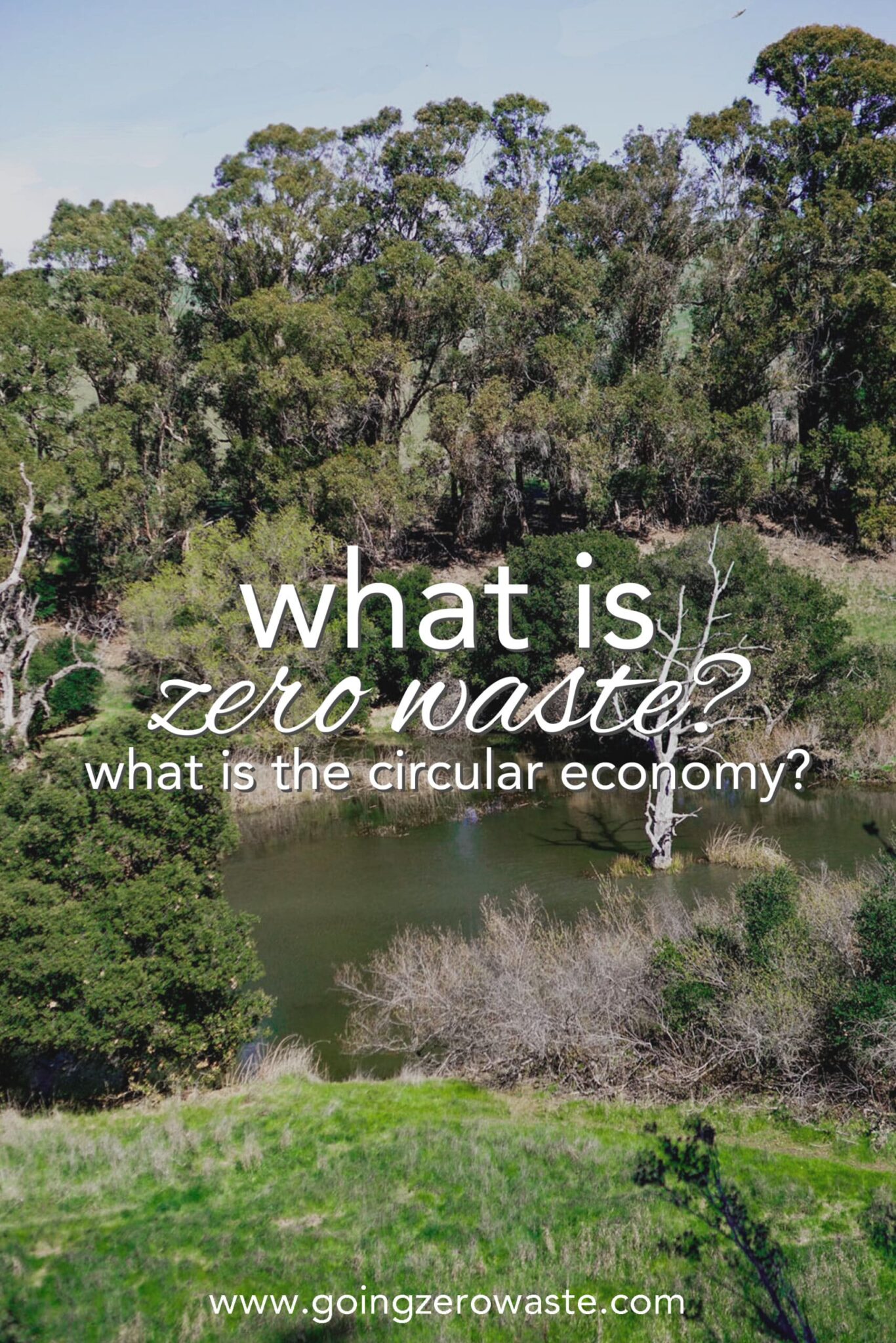 What is Zero Waste? What is the Circular Economy? - Going Zero Waste