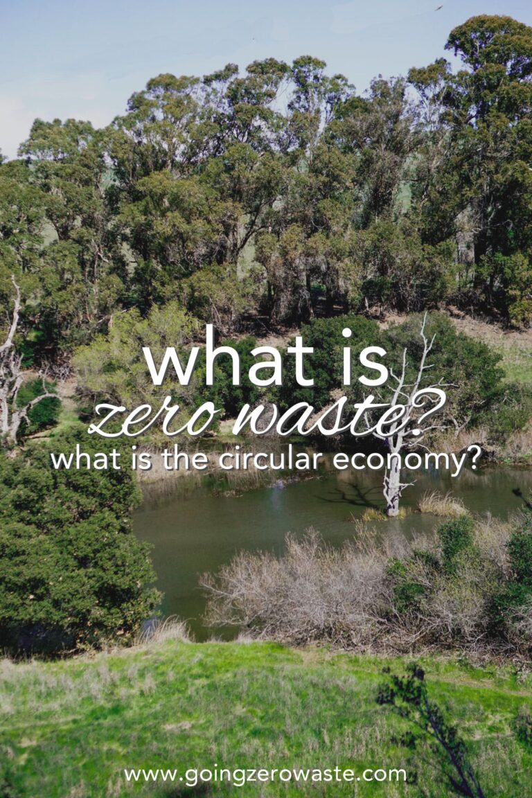What is Zero Waste? What is the Circular Economy? - Going Zero Waste
