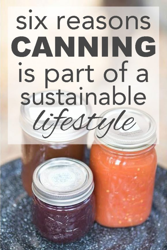 6 Reasons Canning is Part of a Sustainable Lifestyle - Going Zero Waste