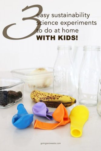 3 Simple Sustainability Science Experiments To Do At Home With Kids ...