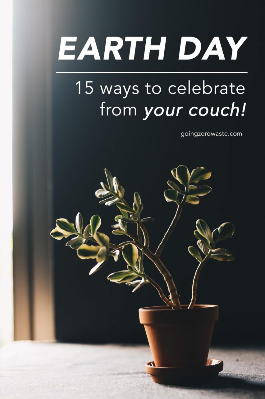 How to Celebrate Earth Day at Home | 15 Things You Can Do for the ...