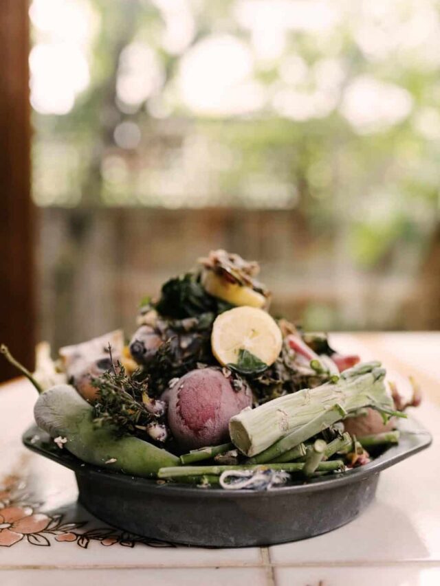 10 Easy Ways to Reduce Food Waste at Home - Going Zero Waste