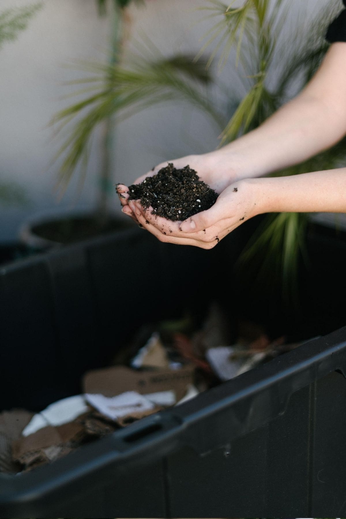 How to Build a DIY Compost Bin - Going Zero Waste