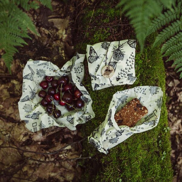 8 Eco Challenge Ideas for Earth Day - Going Zero Waste