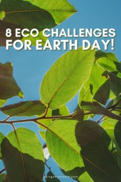 8 Eco Challenge Ideas for Earth Day - Going Zero Waste