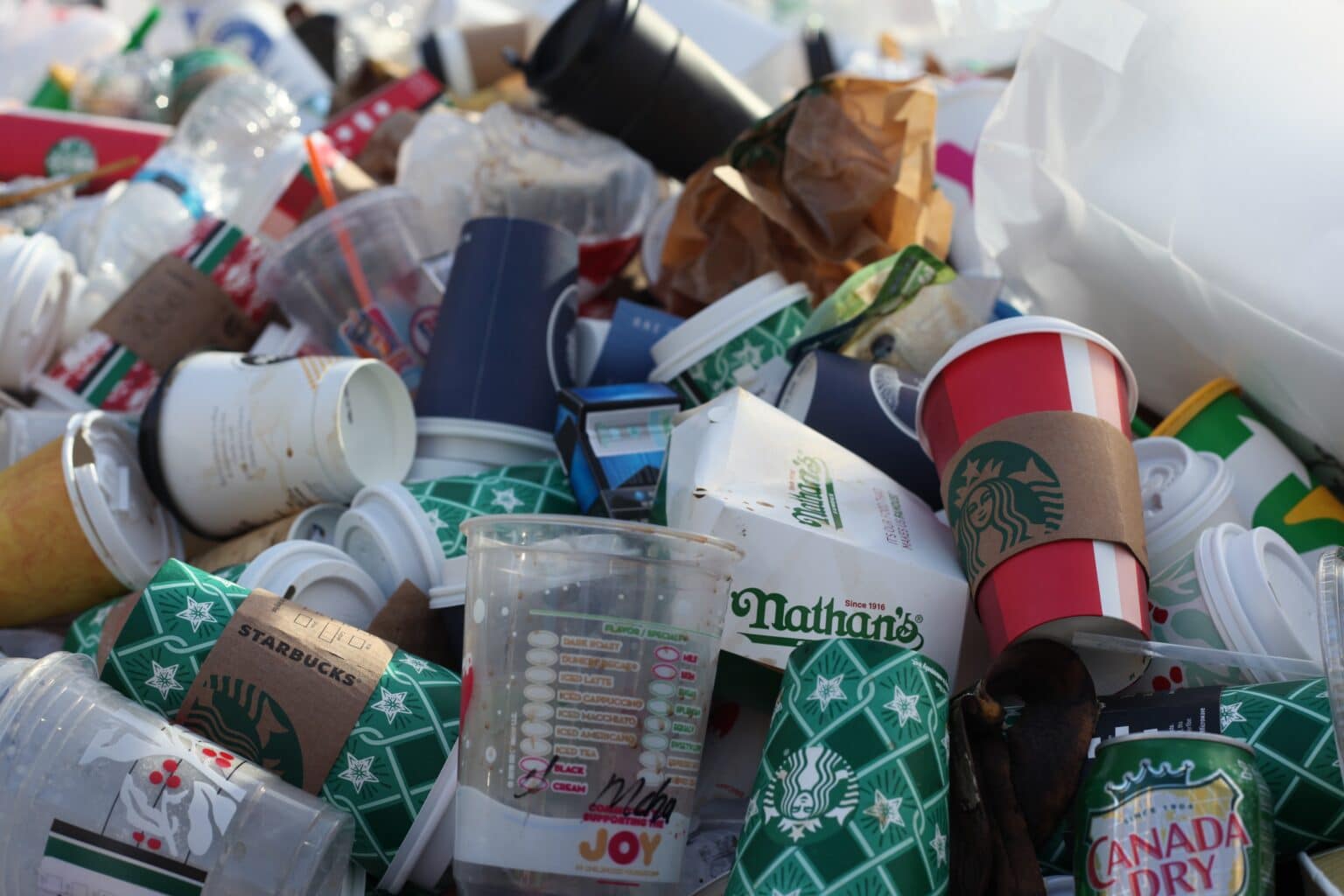 Recycled Plastic: Is It Eco Friendly or Greenwashing? - Going Zero Waste