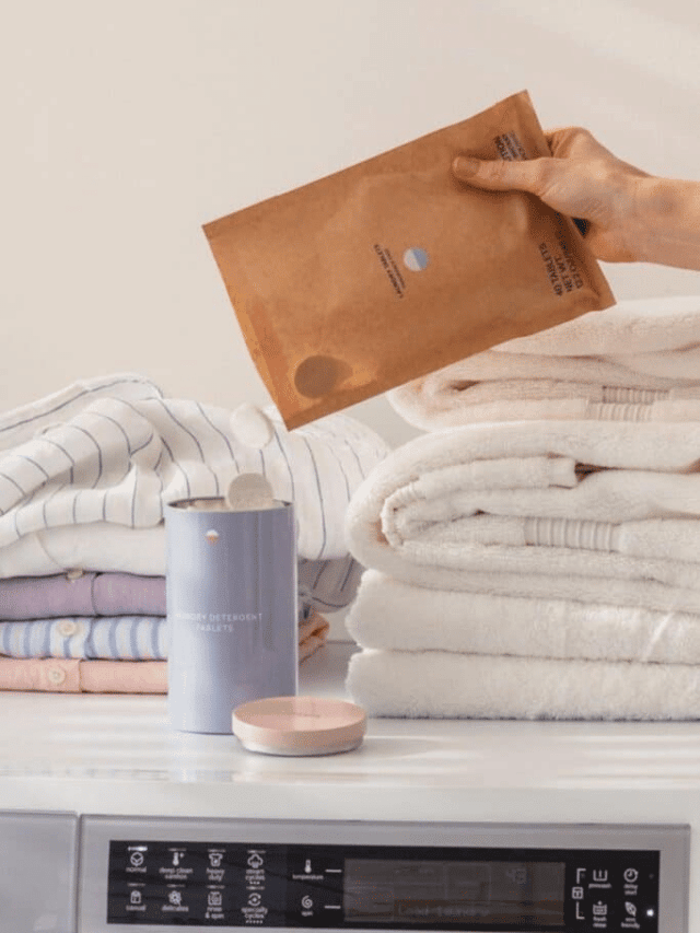 Laundry Detergent: The 10 BEST All-Natural, and Eco Friendly Options ...