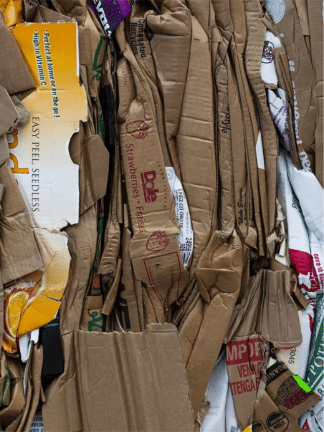 How to Recycle Paper the Right Way - Going Zero Waste