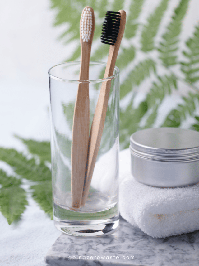 Why Use An Eco-Friendly Toothbrush? - Going Zero Waste