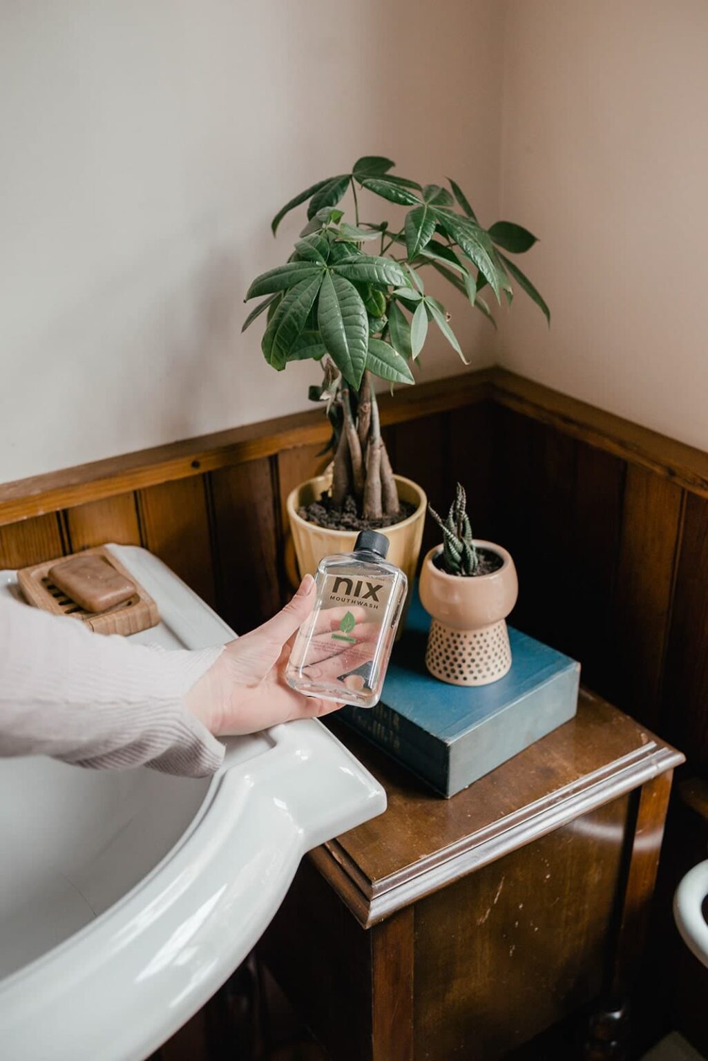 6 Reasons to Try Nix Mouthwash - Going Zero Waste