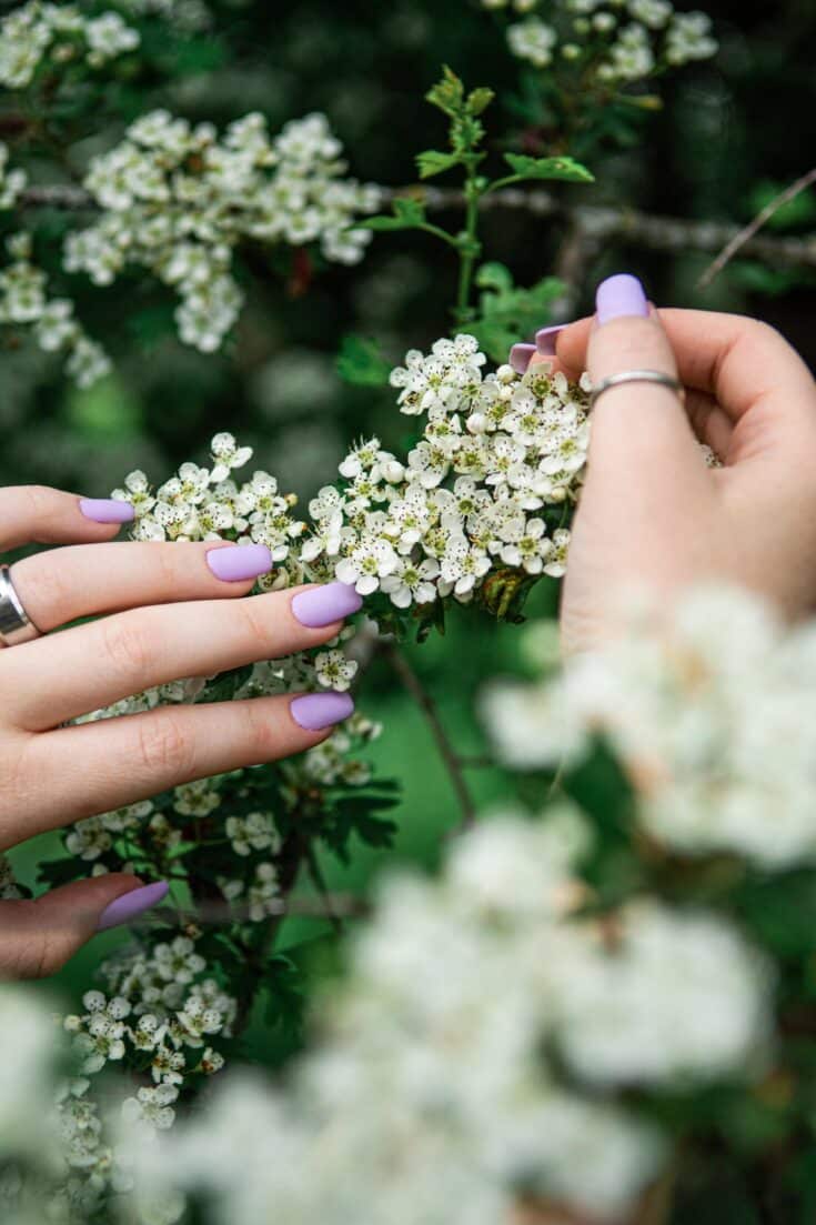 10 Eco Friendly Nail Polish Brands For the Best Non-Toxic Manicure ...