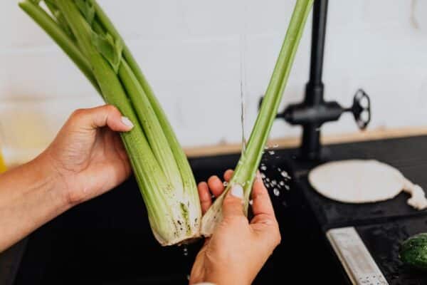 5 Delicious Ways to Use Celery Leaves - Going Zero Waste