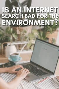 Is An Internet Search Bad For The Environment? - Going Zero Waste