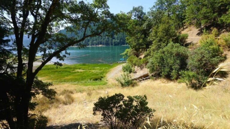 Eco Camping: How to Plan a Zero Waste Camping Trip - Going Zero Waste