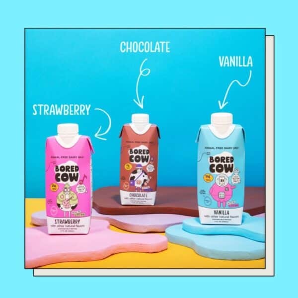 Bored Cow: What Is Animal Free Dairy Milk + Should You Try It? - Going ...