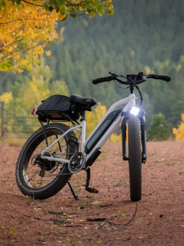 The 5 Best Electric Bike Conversion Kits On The Market - Going Zero Waste