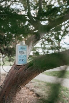 Recycled Plastic: Is It Eco Friendly or Greenwashing? - Going Zero Waste