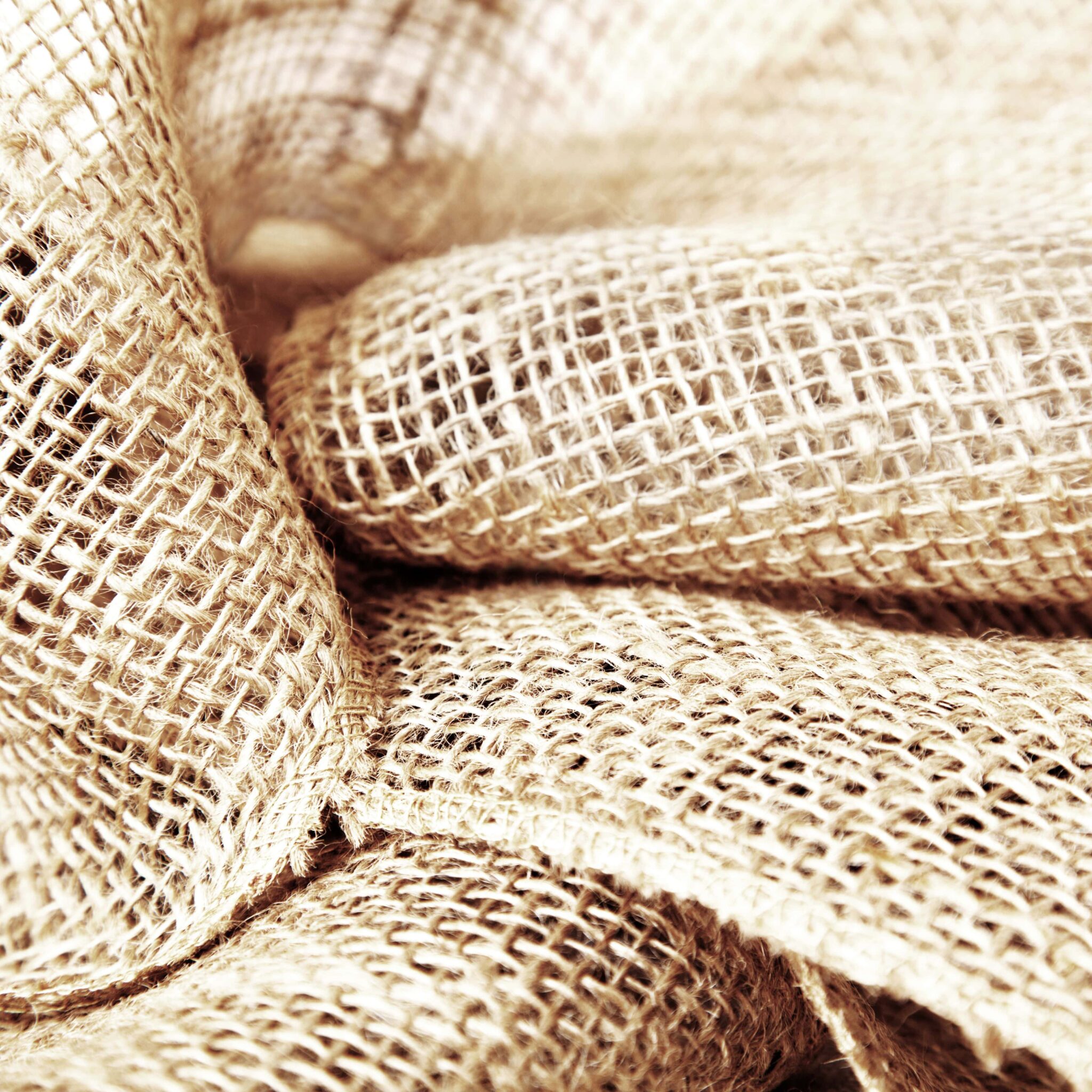What is Jute? And Is It Sustainable? - Going Zero Waste