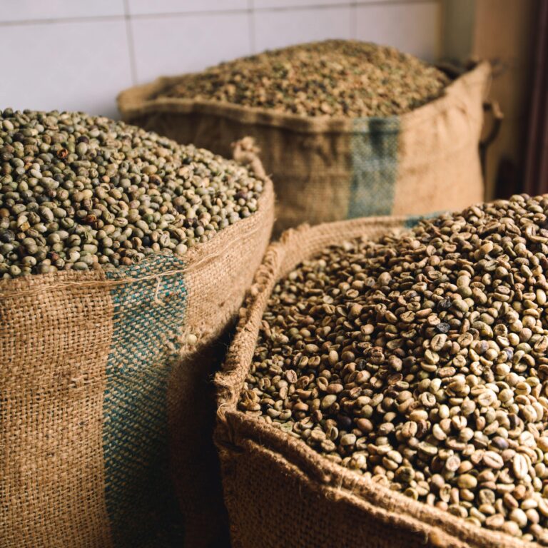 What is Jute? And Is It Sustainable? - Going Zero Waste