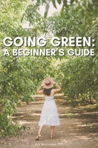 Going Green Beginner's Guide: 10 Ways to Live an Eco-Friendly Lifestyle ...