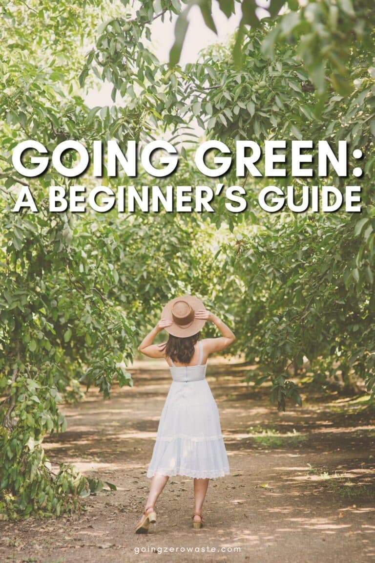 Going Green Beginner's Guide: 10 Ways to Live an Eco-Friendly Lifestyle ...