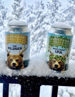 13 Sustainable Alcohol Brands to Try at Your Next Party - Going Zero Waste