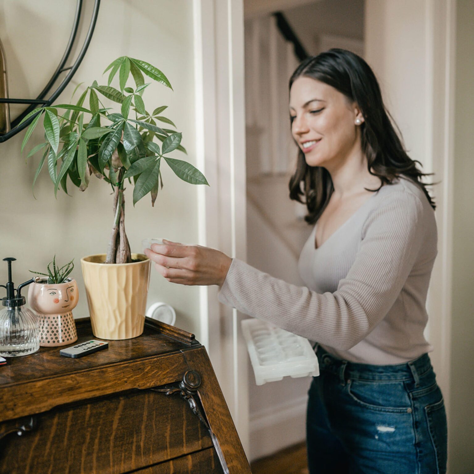 Is Your Plant Addiction Eco-Friendly? - Going Zero Waste