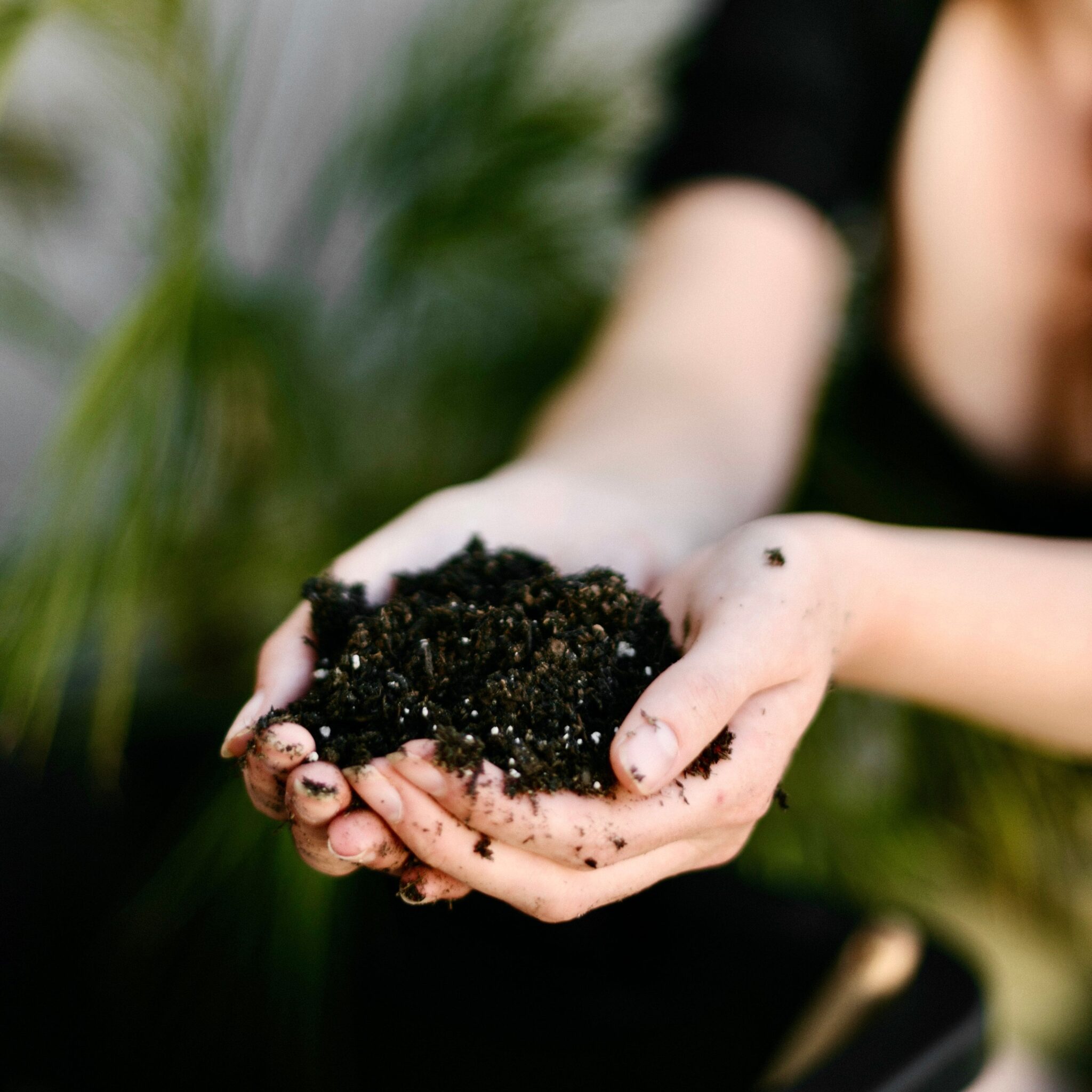 Is Your Plant Addiction Eco-Friendly? - Going Zero Waste