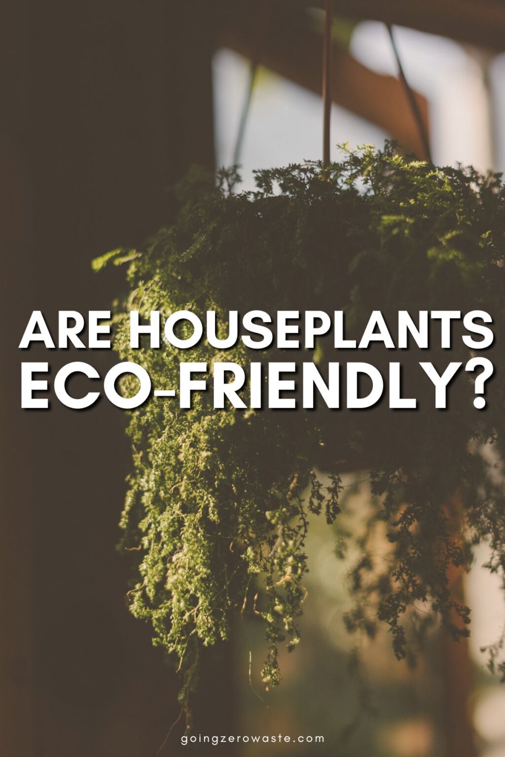 Is Your Plant Addiction Eco-Friendly? - Going Zero Waste