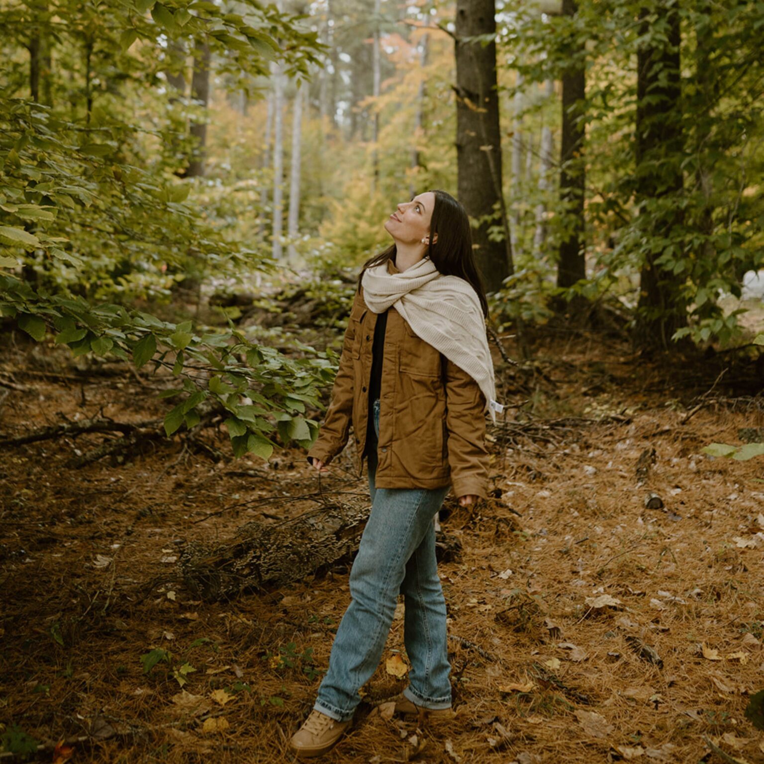 FSC Certifications: What Are They + Are They Sustainable? - Going Zero ...