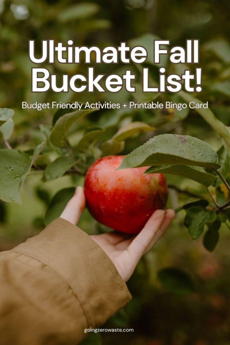 Ultimate Fall Bucket List: Budget Friendly Activities + Printable Bingo ...