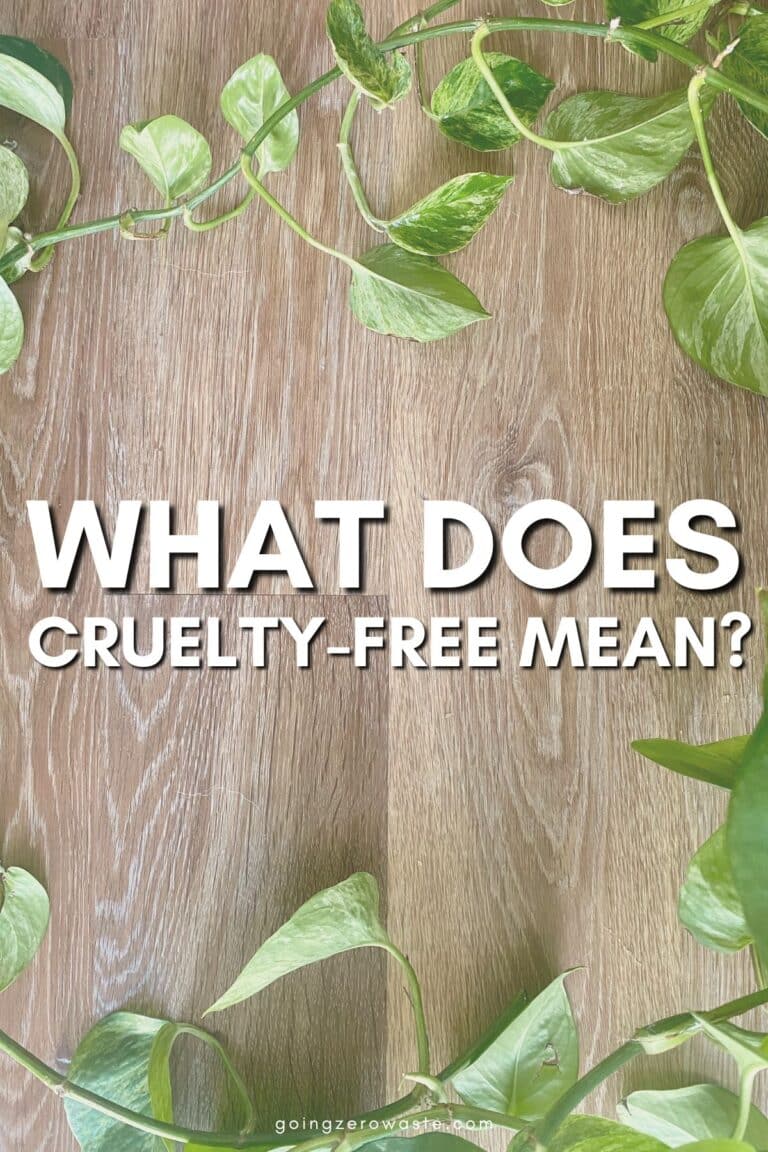 What Does Cruelty-Free Mean? +10 Ethical Brands - Going Zero Waste