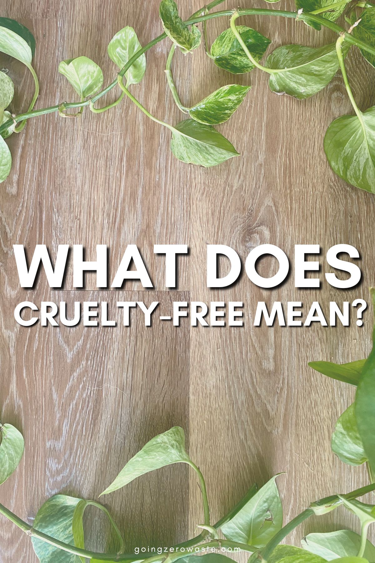 What Does Cruelty-Free Mean? +10 Ethical Brands - Going Zero Waste