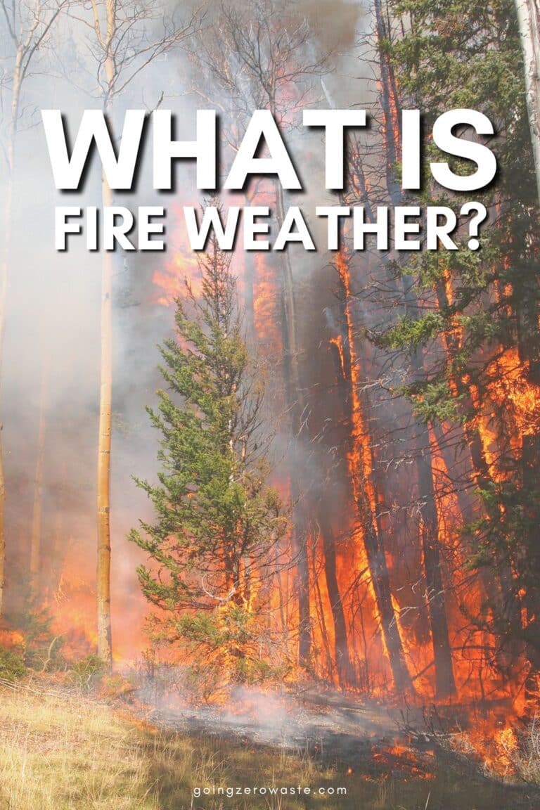 What Is Fire Weather? Is it Preventable? - Going Zero Waste