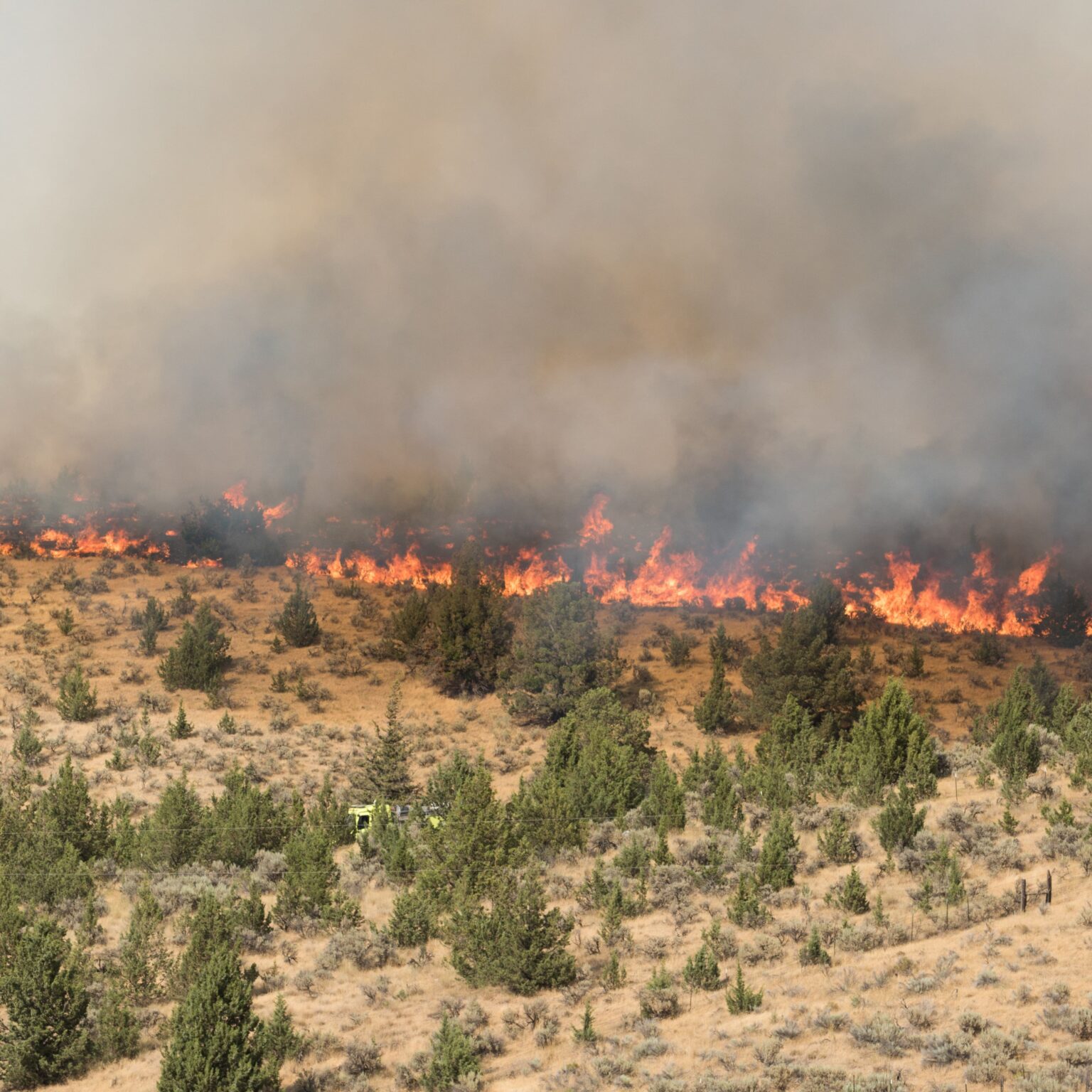 What Is Fire Weather? Is it Preventable? - Going Zero Waste