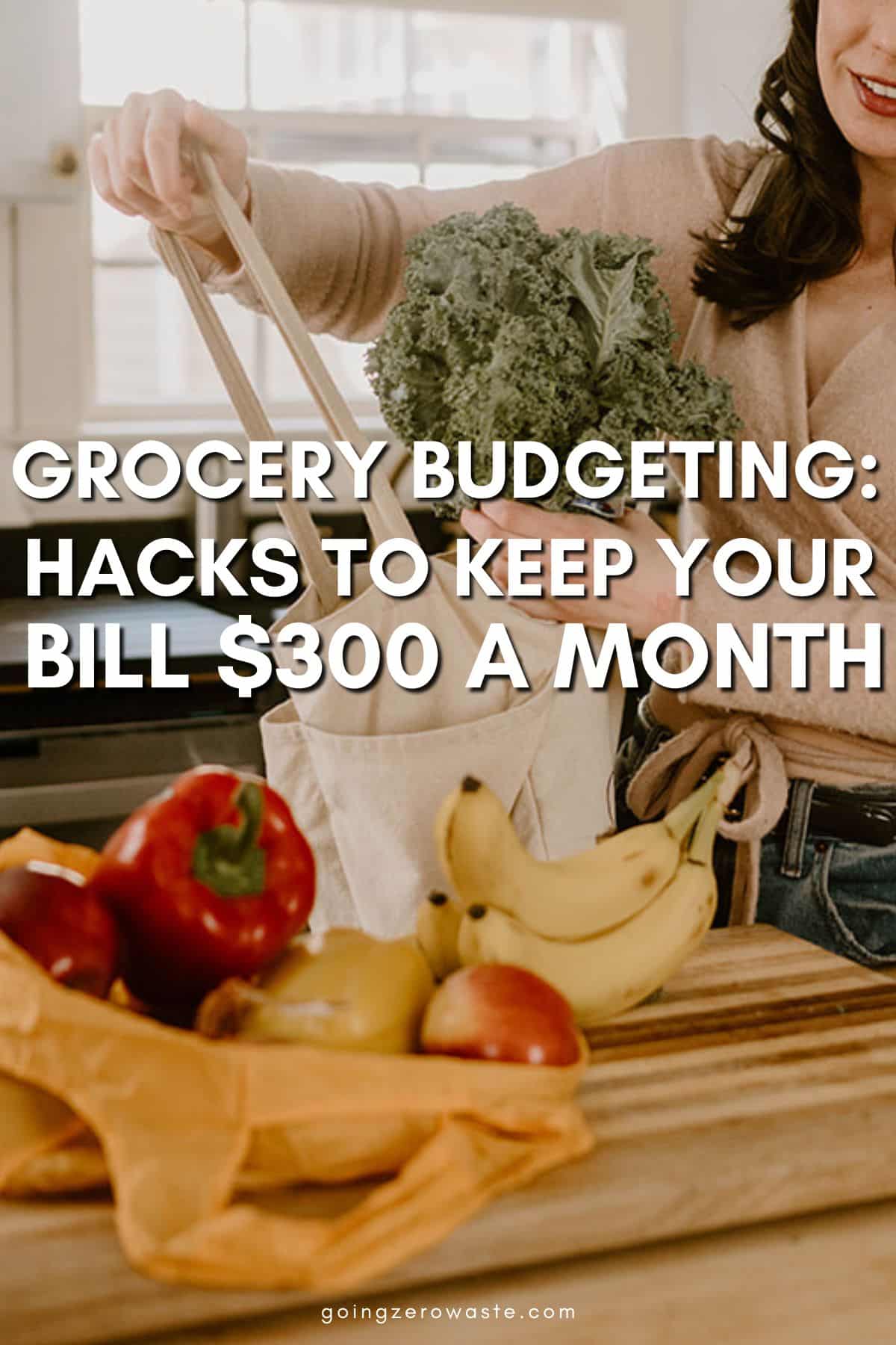 How I Cut My Grocery Bill to $300 a Month - Going Zero Waste